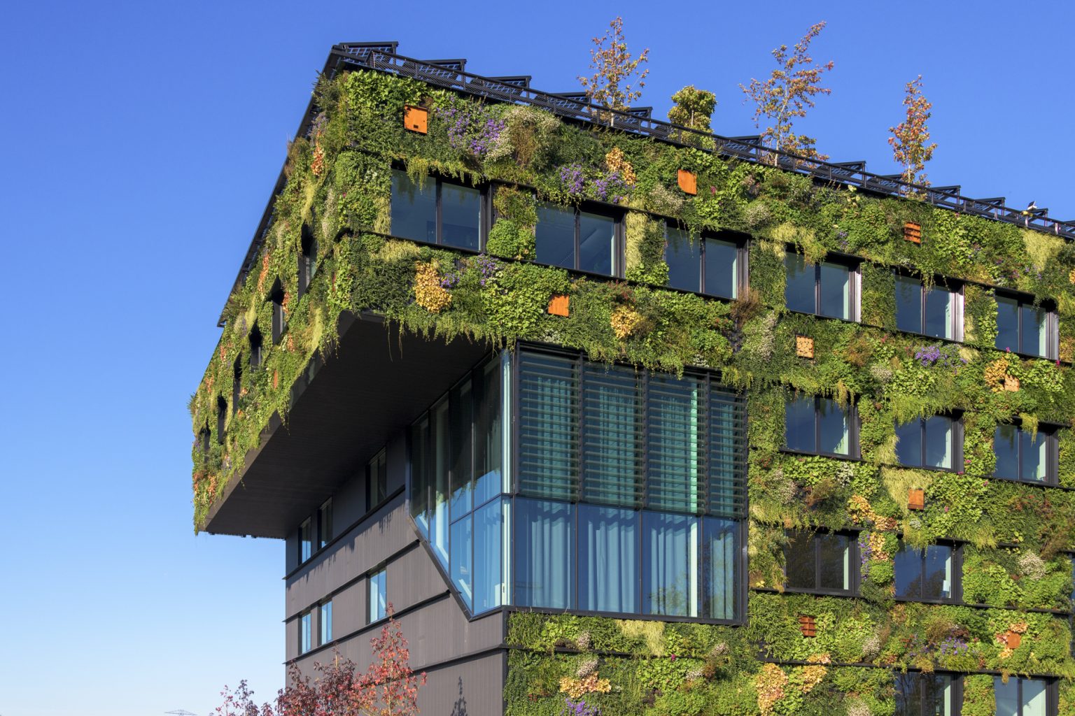 Aeres Hogeschool Almere | Gevelsystemen | Kawneer